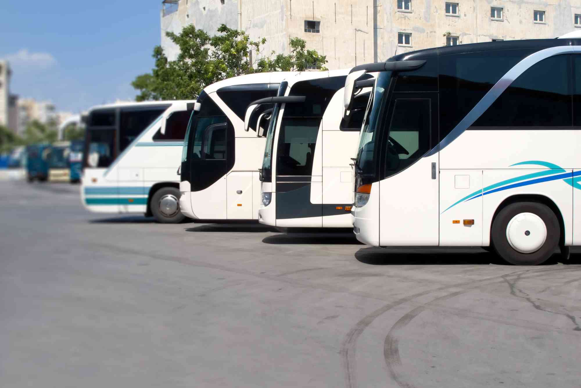 Public Buses in Jeddah – Routes, Timings, and Fares